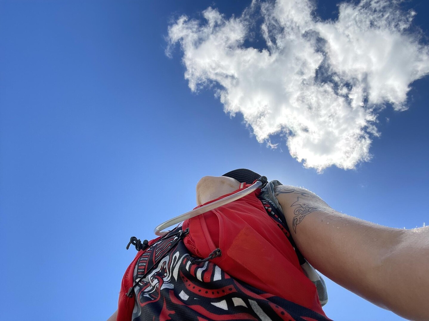 ランニング-2023-08-26 / kk_koro♌️さんのランニングの活動データ | YAMAP / ヤマップ