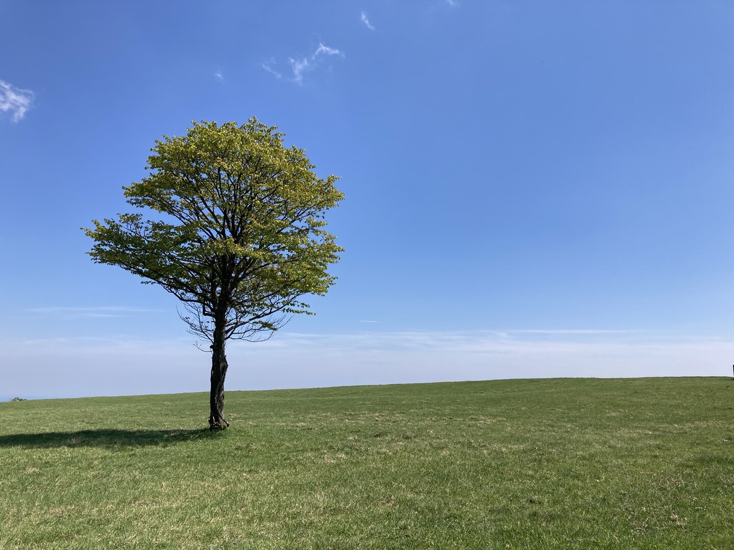 室蘭岳～奥カムイ～カムイ～林道 / keen0138さんの鷲別岳（室蘭岳）・カムイヌプリの活動データ | YAMAP / ヤマップ