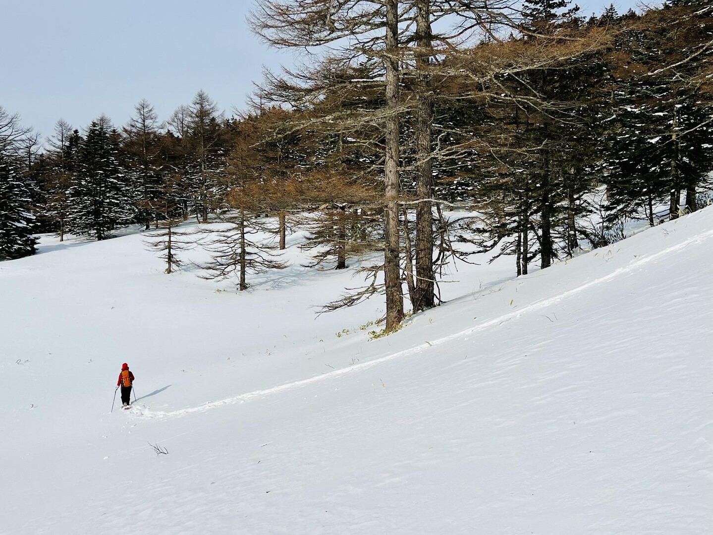 高嶺高原スノーシュートレッキング part2 / Chieさんのウォーキングの活動データ | YAMAP / ヤマップ