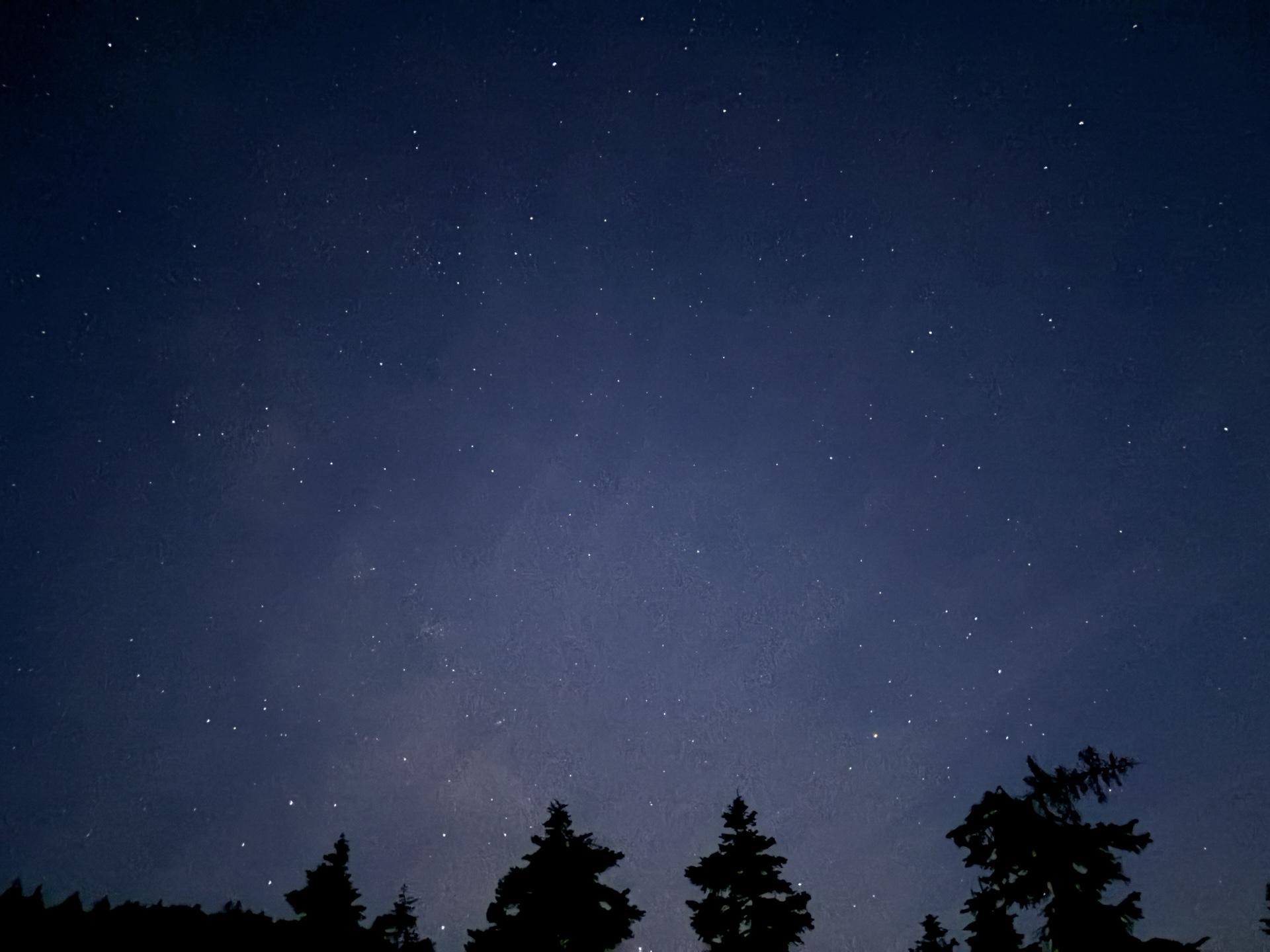 白山・別山・銚子ヶ峰-2025-08-22 / nekopenさんの白山・別山・銚子ヶ峰の活動データ | YAMAP / ヤマップ