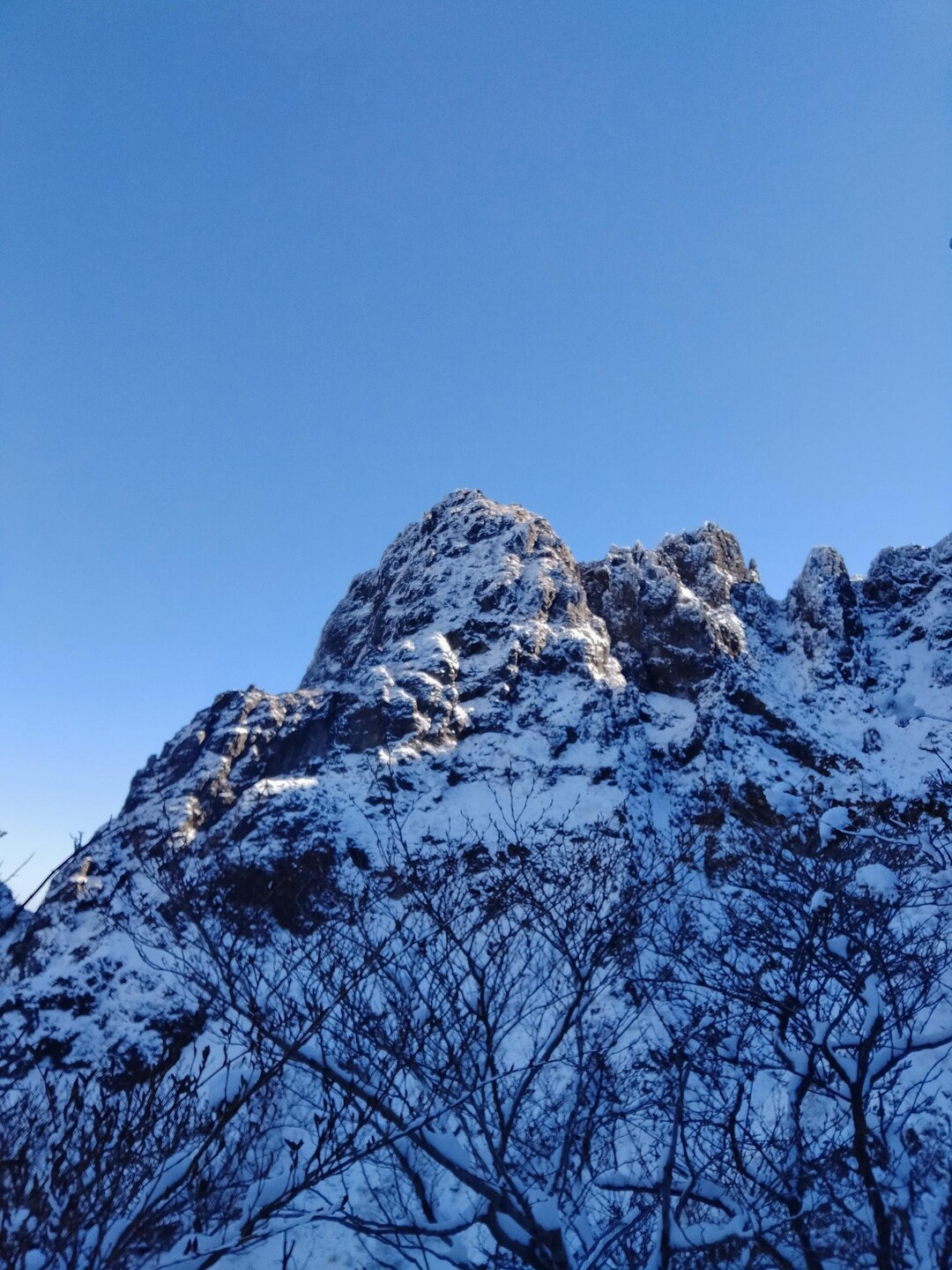 阿蘇赤谷ダイレクト尾根 / omiさんの阿蘇山・高岳・根子岳の活動データ | YAMAP / ヤマップ