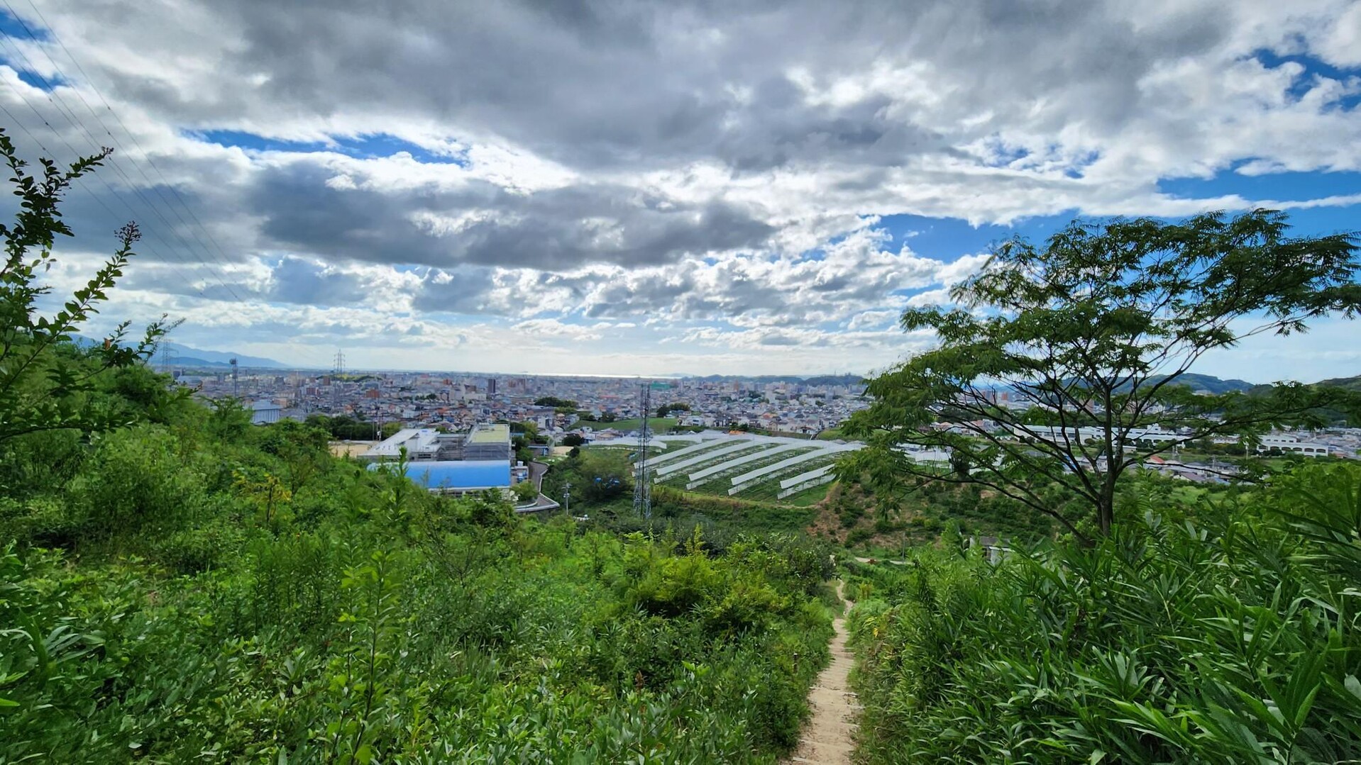 淡路ヶ峠さんぽのつもりが / gyamiさんの淡路ヶ峠・芝ヶ峠・倉谷山の活動データ | YAMAP / ヤマップ