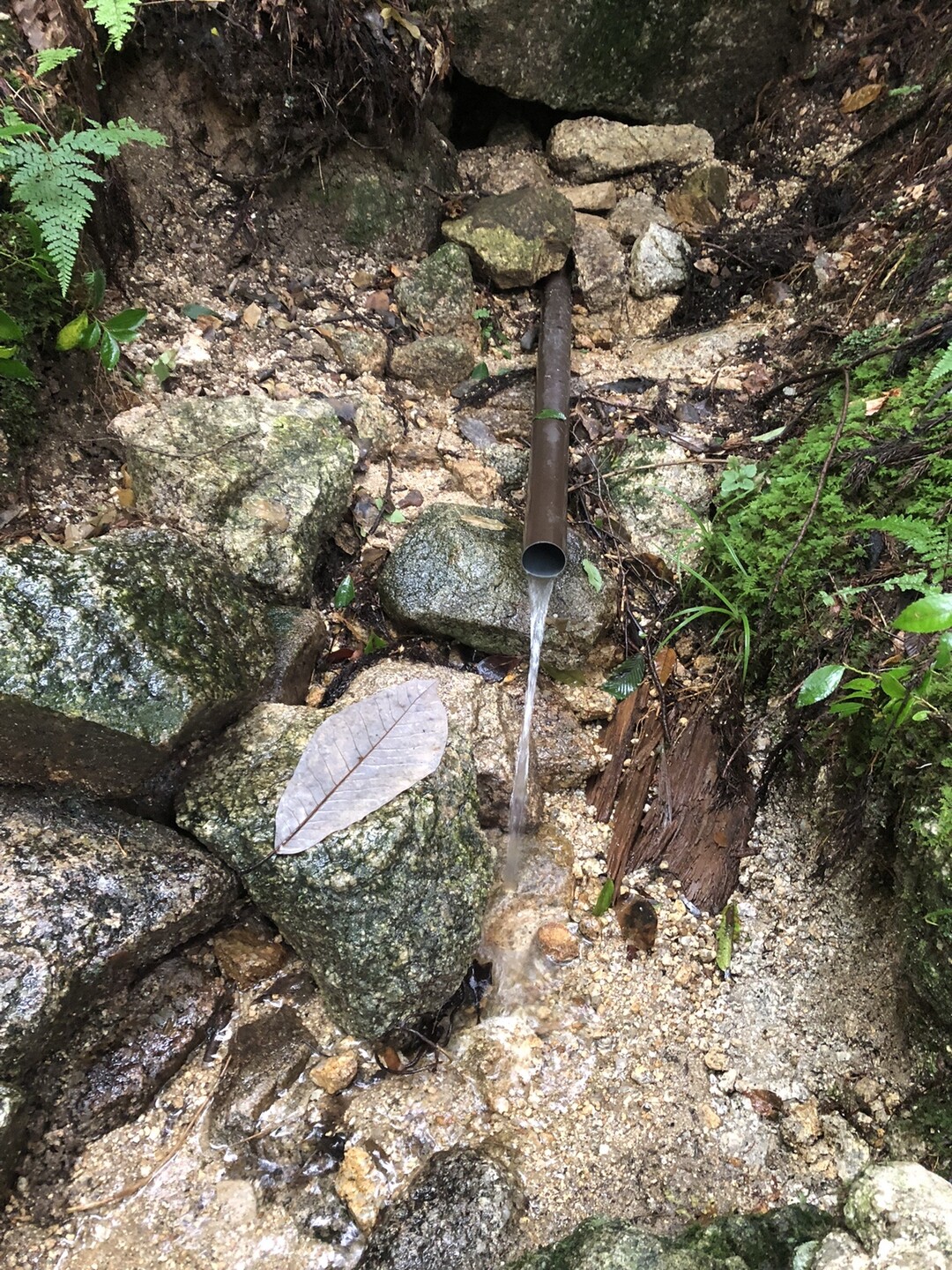 KATSさんの投稿したフィールドメモ | YAMAP / ヤマップ