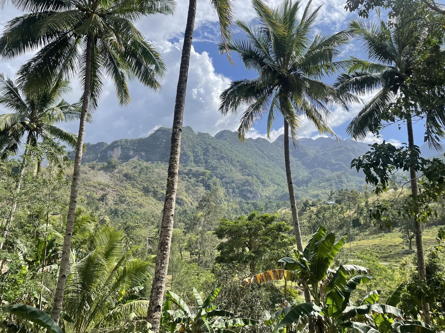 Mount Matebien / Yuminaさんのウォーキングの活動データ | YAMAP / ヤマップ