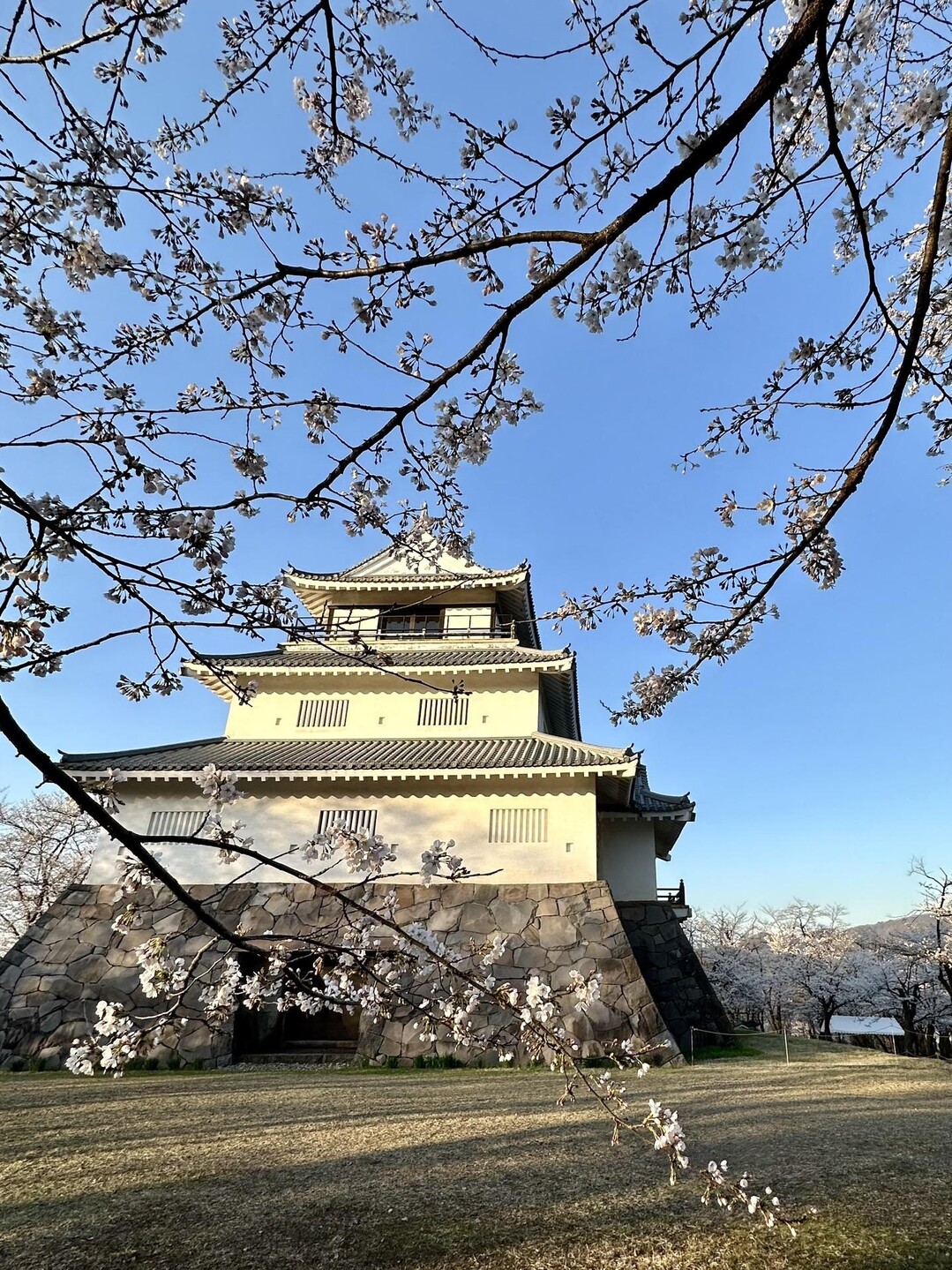 三ノ峠山 / PJさんの鋸山・三ノ峠山・八方台の活動データ | YAMAP / ヤマップ