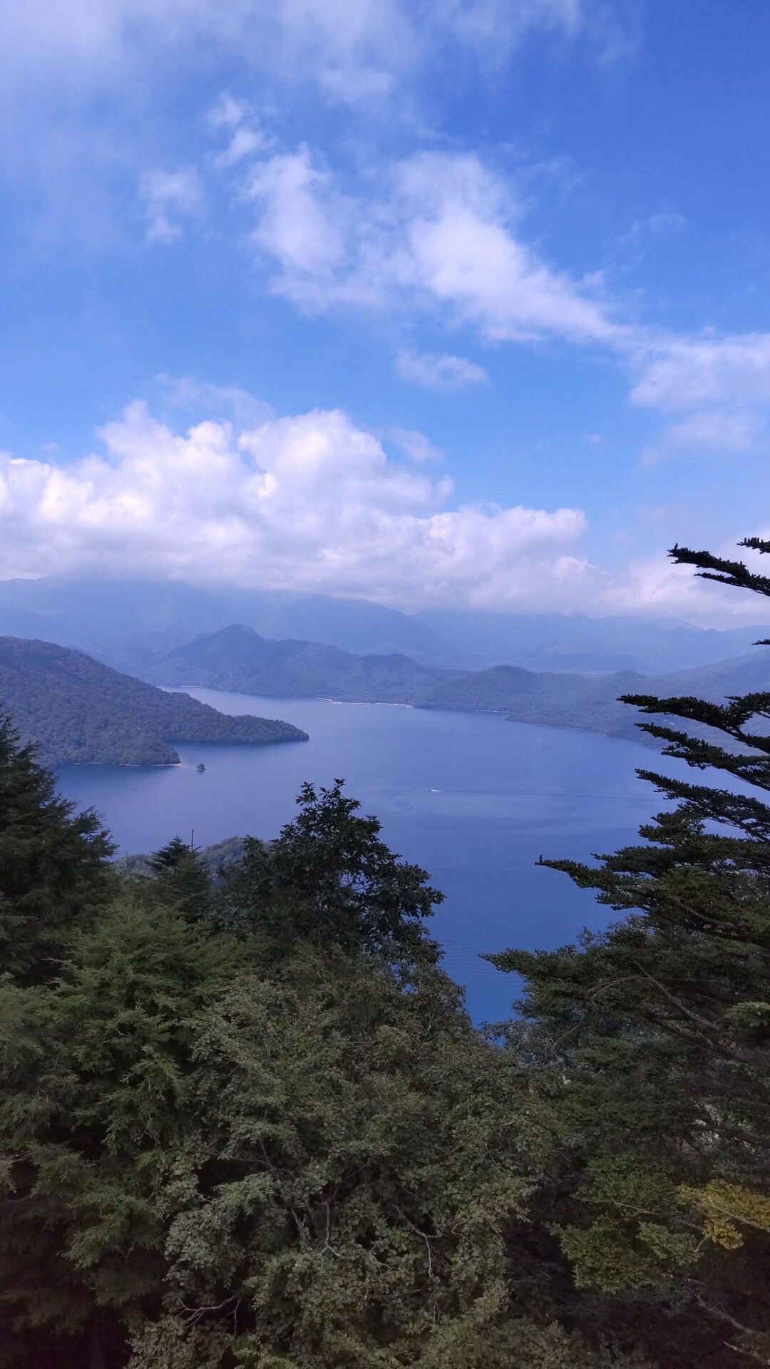 半月山・中禅寺山 / kotaさんの社山・半月山の活動データ | YAMAP / ヤマップ