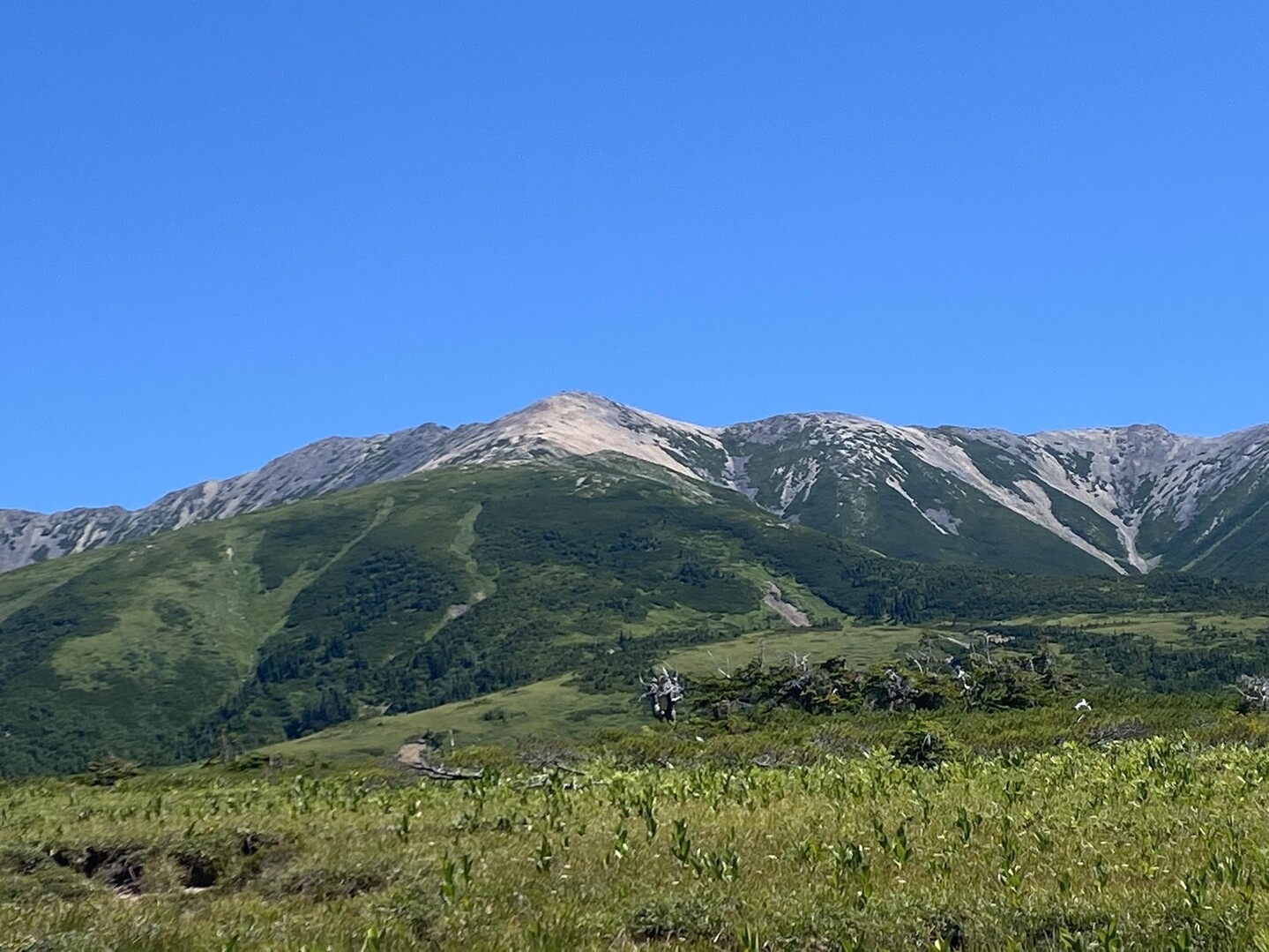 薬師岳 / kokoさんの水晶岳・薬師岳・黒部五郎岳の活動データ | YAMAP / ヤマップ