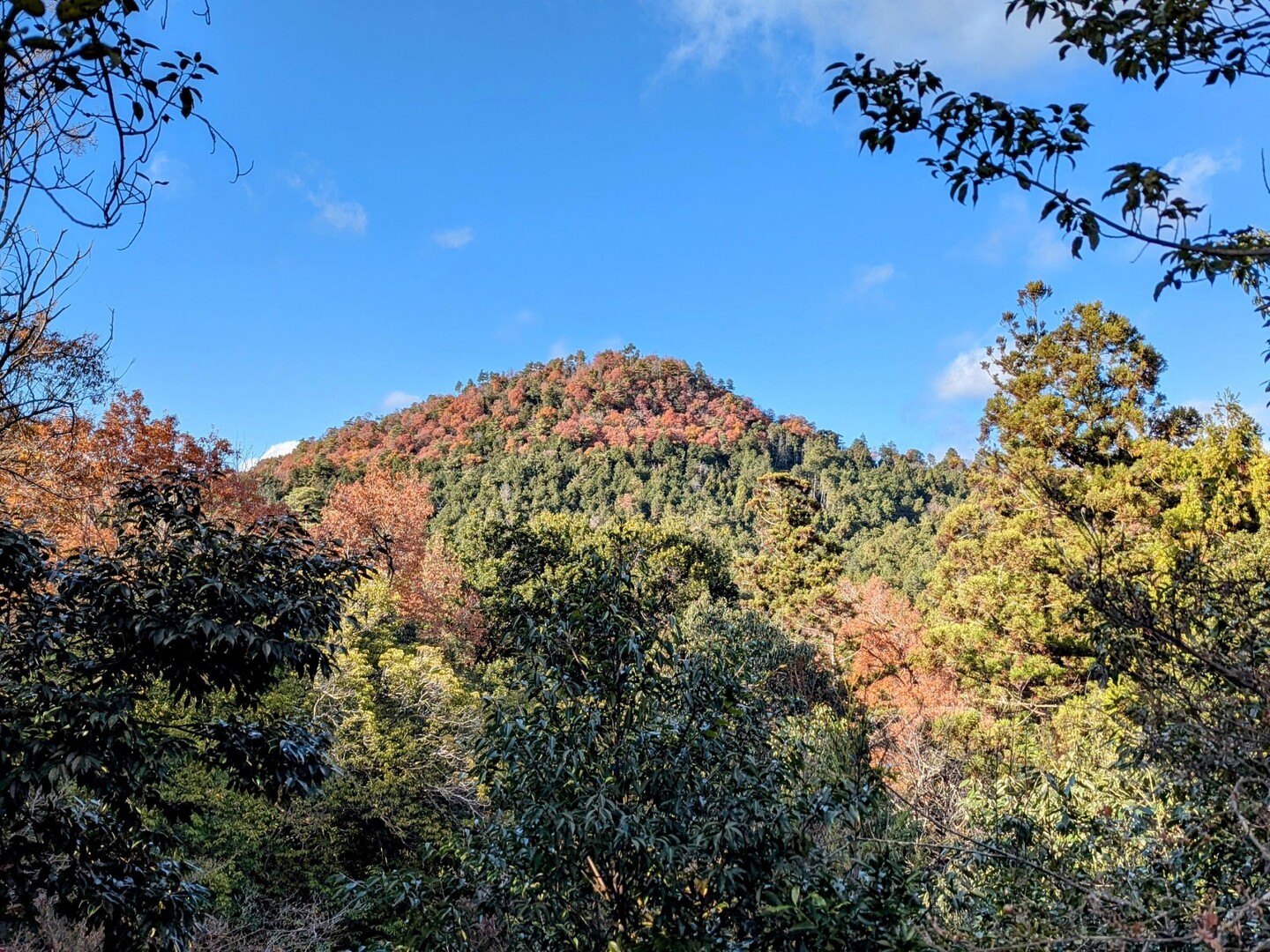 ⛩️京都の山🌝神楽山・神山 / "satoh"さんの京都一周トレイルの活動データ | YAMAP / ヤマップ