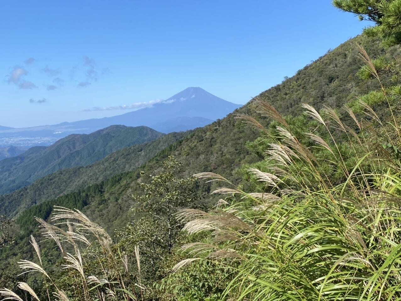 塔ノ岳 / 7-Kazuさんの塔ノ岳・丹沢山・蛭ヶ岳の活動データ | YAMAP / ヤマップ
