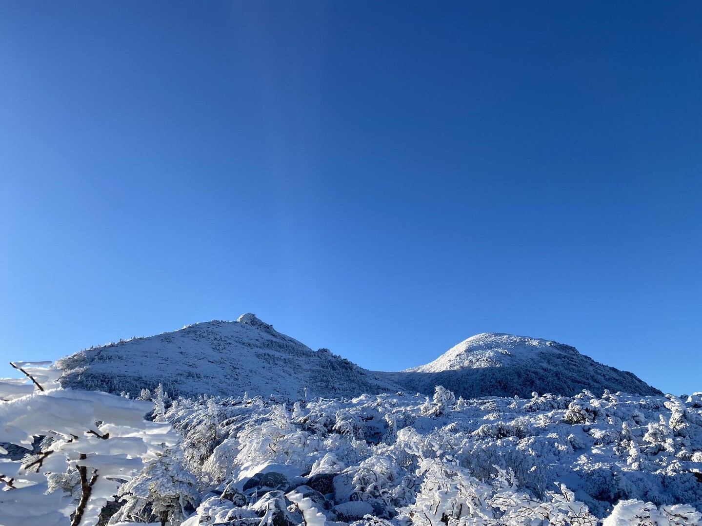 ご褒美遠征。東天狗岳・天狗岳（西天狗岳）・ニュウ / ryoさんの八ヶ岳（赤岳・硫黄岳・天狗岳）の活動データ | YAMAP / ヤマップ