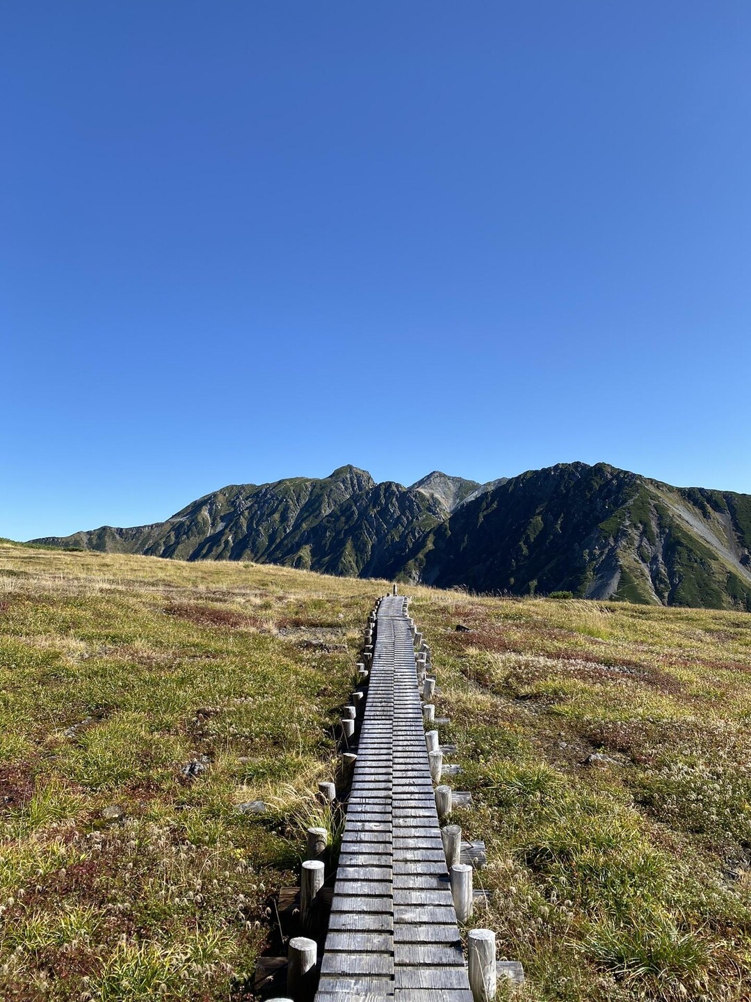 念願の五色ヶ原⛰️と雷鳥🐥 / KENJIさんの立山・雄山・浄土山の活動データ | YAMAP / ヤマップ