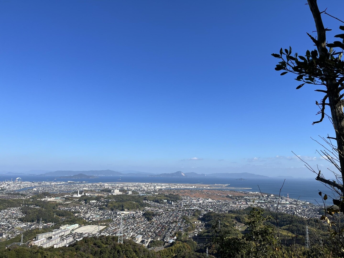 大応山 少しだけトレラン / Sueさんさんの米山・大応山の活動データ | YAMAP / ヤマップ