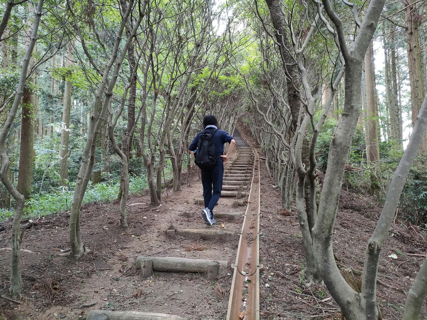 蛇円山 / Mygo.さんの蛇円山・京ノ上山の活動データ | YAMAP / ヤマップ