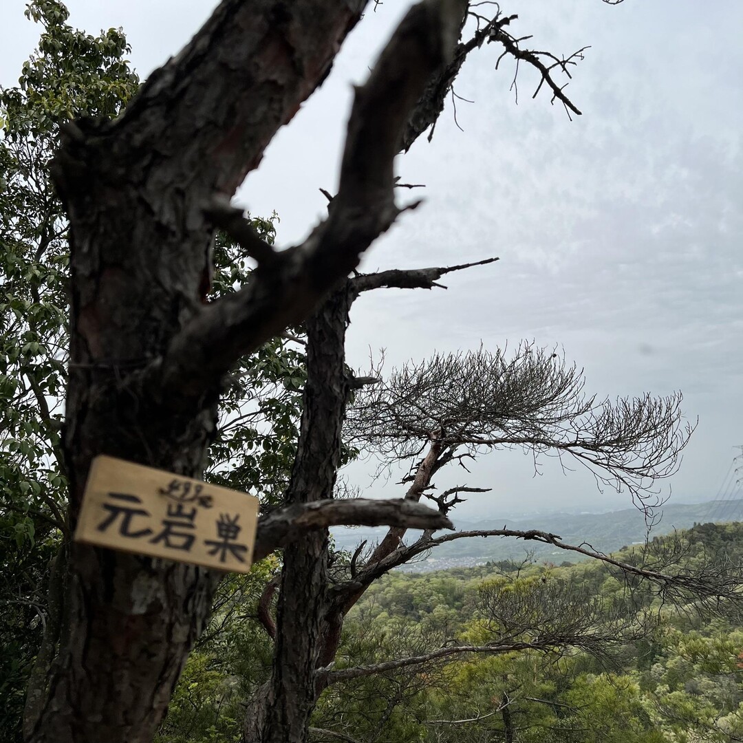 元岩巣山・岩巣山 / hanabouさんの岩巣山・三国山・折平山の活動データ | YAMAP / ヤマップ