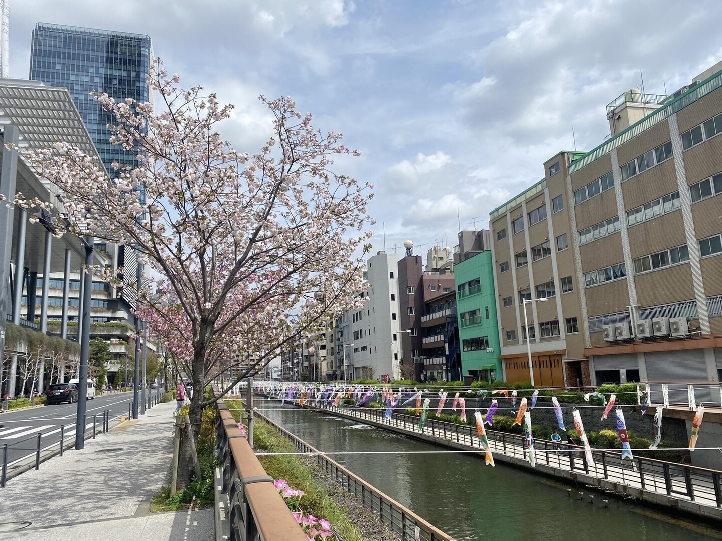 東京スカイツリーのすぐ真下を流れる北十間... / tomさんのモーメント | YAMAP / ヤマップ