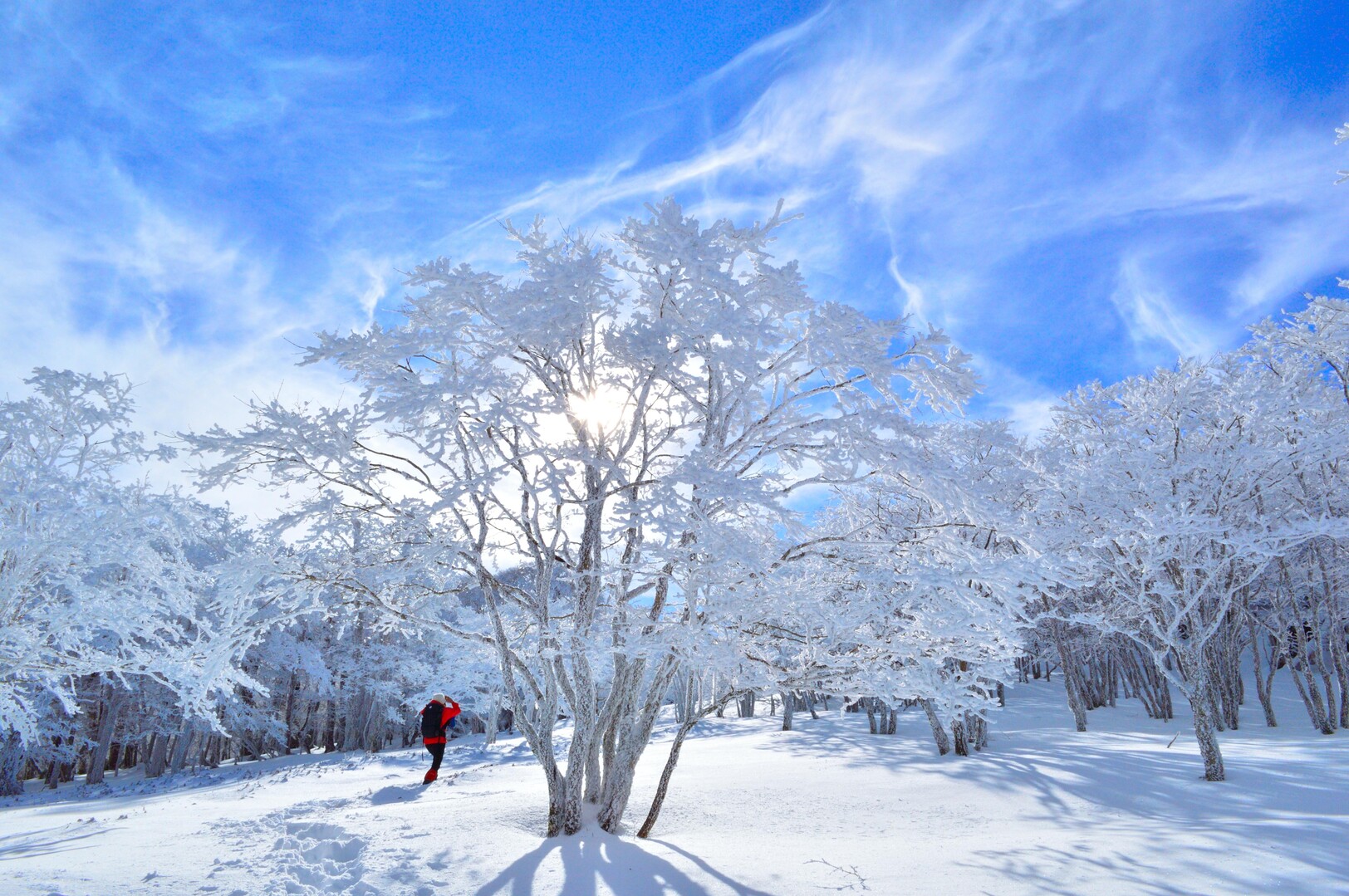 写真でふりかえる山歩 2024 AIじゃ... / newayさんのモーメント | YAMAP / ヤマップ