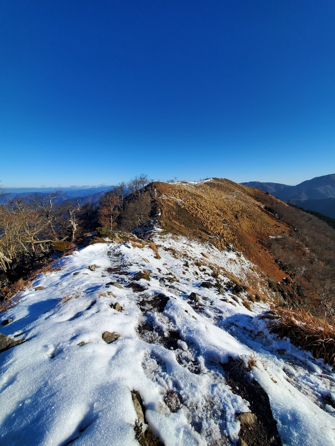 綿向山・竜王山 / CANさんの綿向山の活動データ | YAMAP / ヤマップ