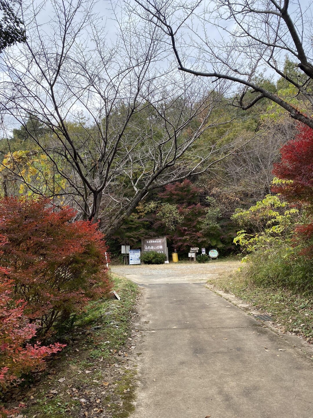 尾張白山 / rinpeさんの尾張富士・尾張本宮山・尾張白山の活動データ | YAMAP / ヤマップ