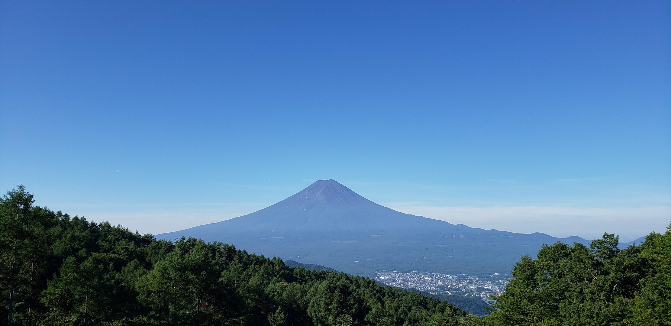 速報をお伝えします😉🗻 / ﾃｷｰﾗ🥂さんのモーメント | YAMAP / ヤマップ