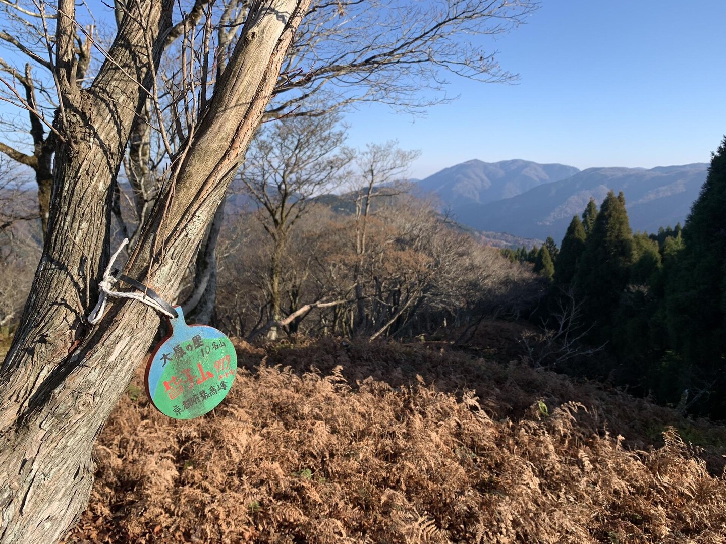 皆子山 / noeさんの皆子山の活動データ | YAMAP / ヤマップ