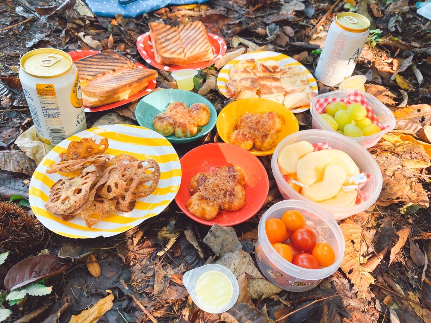 o∀*∀o(^^*)♪ / zuko@さんの奴田山（青木山）・吹矢山の活動データ | YAMAP / ヤマップ