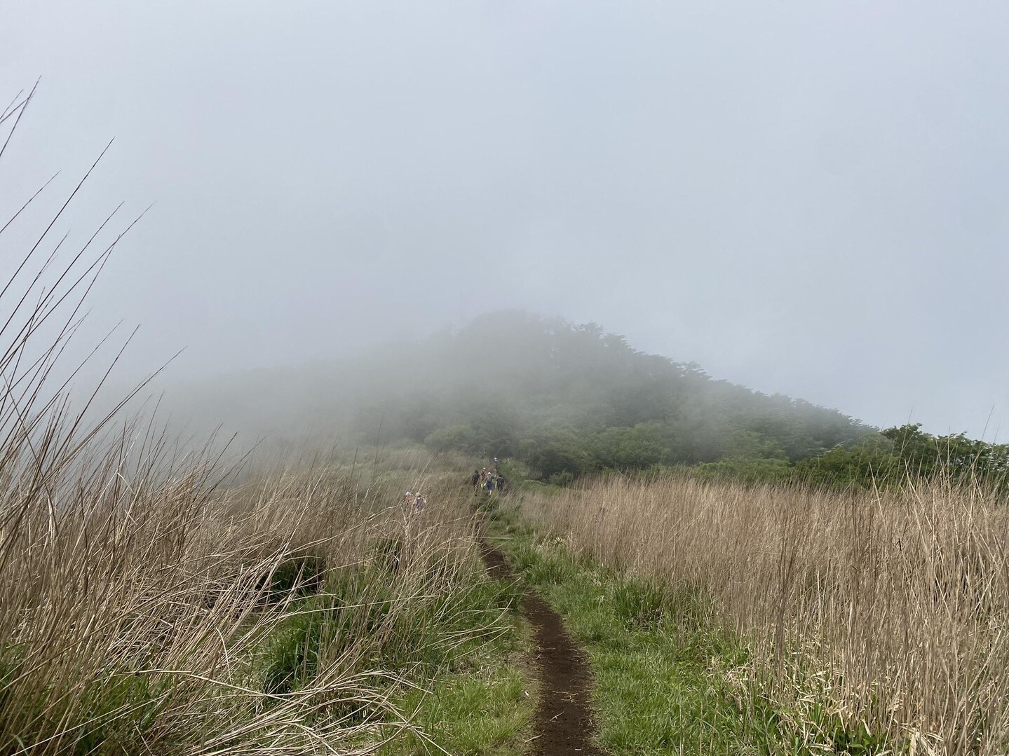 第15回 富士忍野高原ﾄﾚｲﾙﾚｰｽ•ﾐﾄﾞﾙ 21.6Km / 小豆LOVEさんのFUJISAN LONG TRAIL（忍野・山中湖エリア EAST）の活動データ | YAMAP / ヤマップ