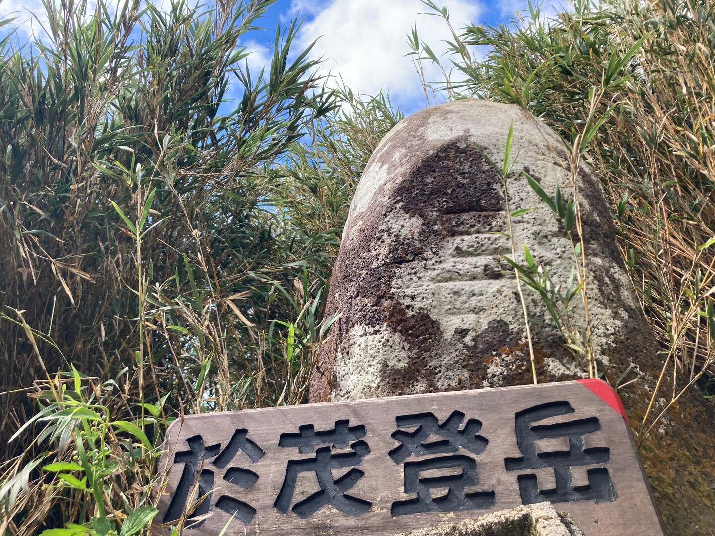 於茂登岳 / ayさんの石垣島 南部の活動データ | YAMAP / ヤマップ
