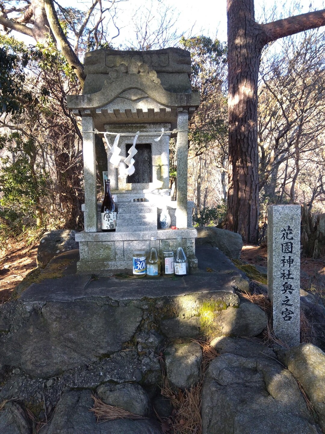 奥の院峰「表参道」 / asonさんの栄蔵室・花園山の活動データ | YAMAP / ヤマップ