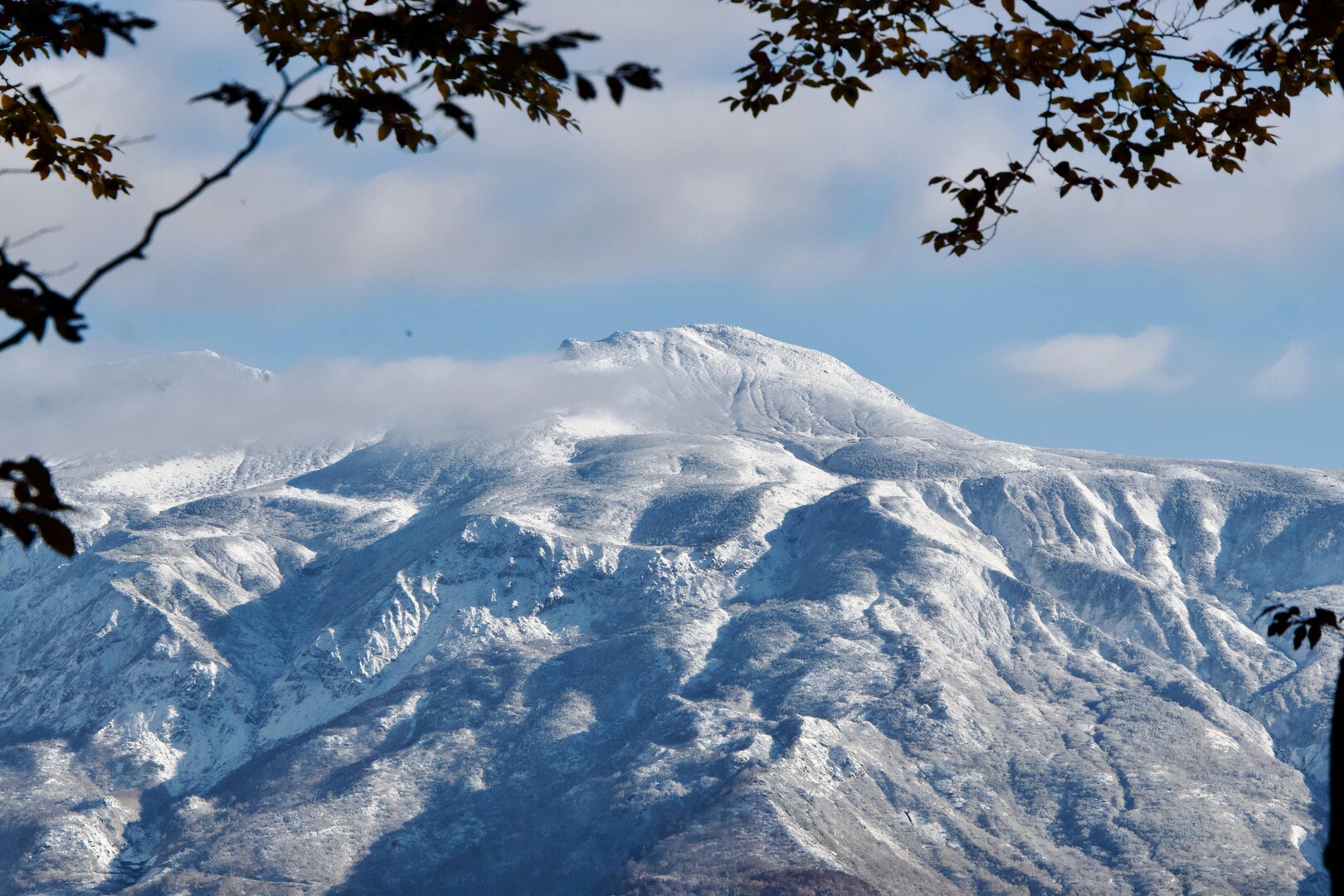 雪の白山 紅葉の赤兎山🍁 / koko-yamaさんの赤兎山・猪鼻山の活動データ | YAMAP / ヤマップ