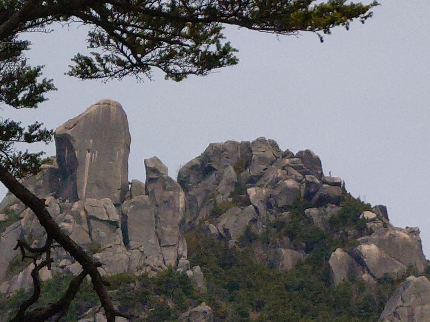瑞牆山 / Kai.yさんの瑞牆山・金峰山の活動データ | YAMAP / ヤマップ