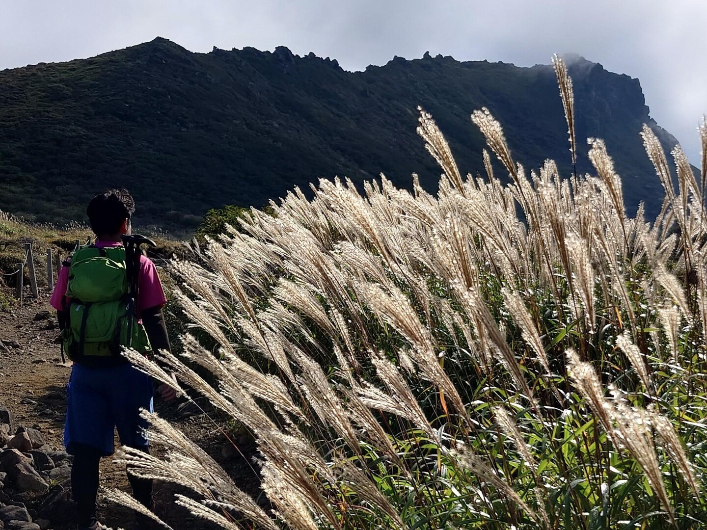 これから紅葉の久住山・中岳20240929 / みぴょこぴょこさんの九重山（久住山）・大船山・星生山の活動データ | YAMAP / ヤマップ
