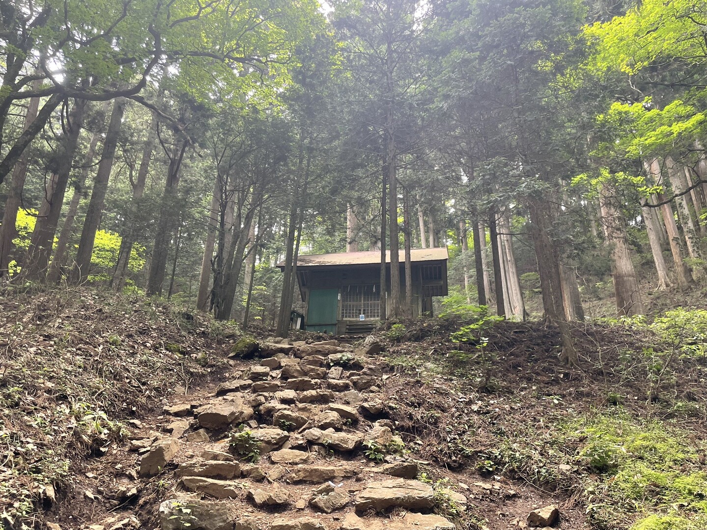 【熊に遭遇‼︎奥多摩縦走（後半）】都民の森〜三頭山〜御前山〜大岳山〜御嶽山〜日の出山〜武蔵五日市駅 三頭山・槇寄山・土俵岳の写真26枚目