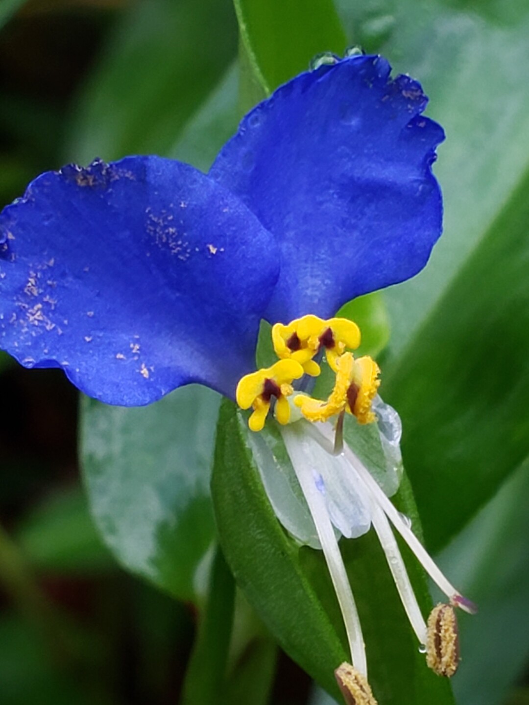 おはよう御座いますm(_ _)m お天気... / 北京げんじんさんのモーメント | YAMAP / ヤマップ