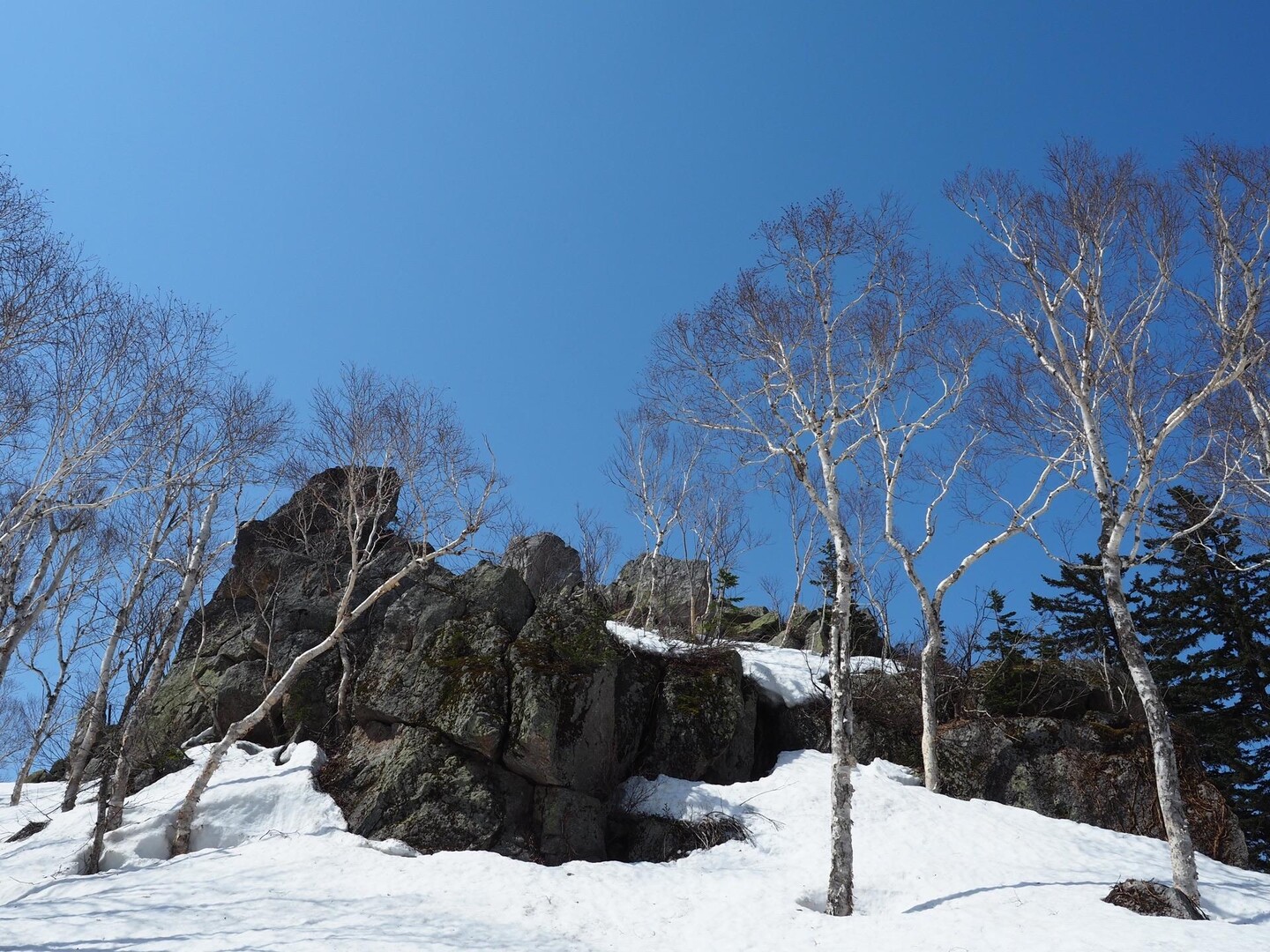 懲りずにトライ！上二股峰山・松倉岩🏔️🏔️ / rucolaさんの塩谷丸山・於古発山の活動データ | YAMAP / ヤマップ