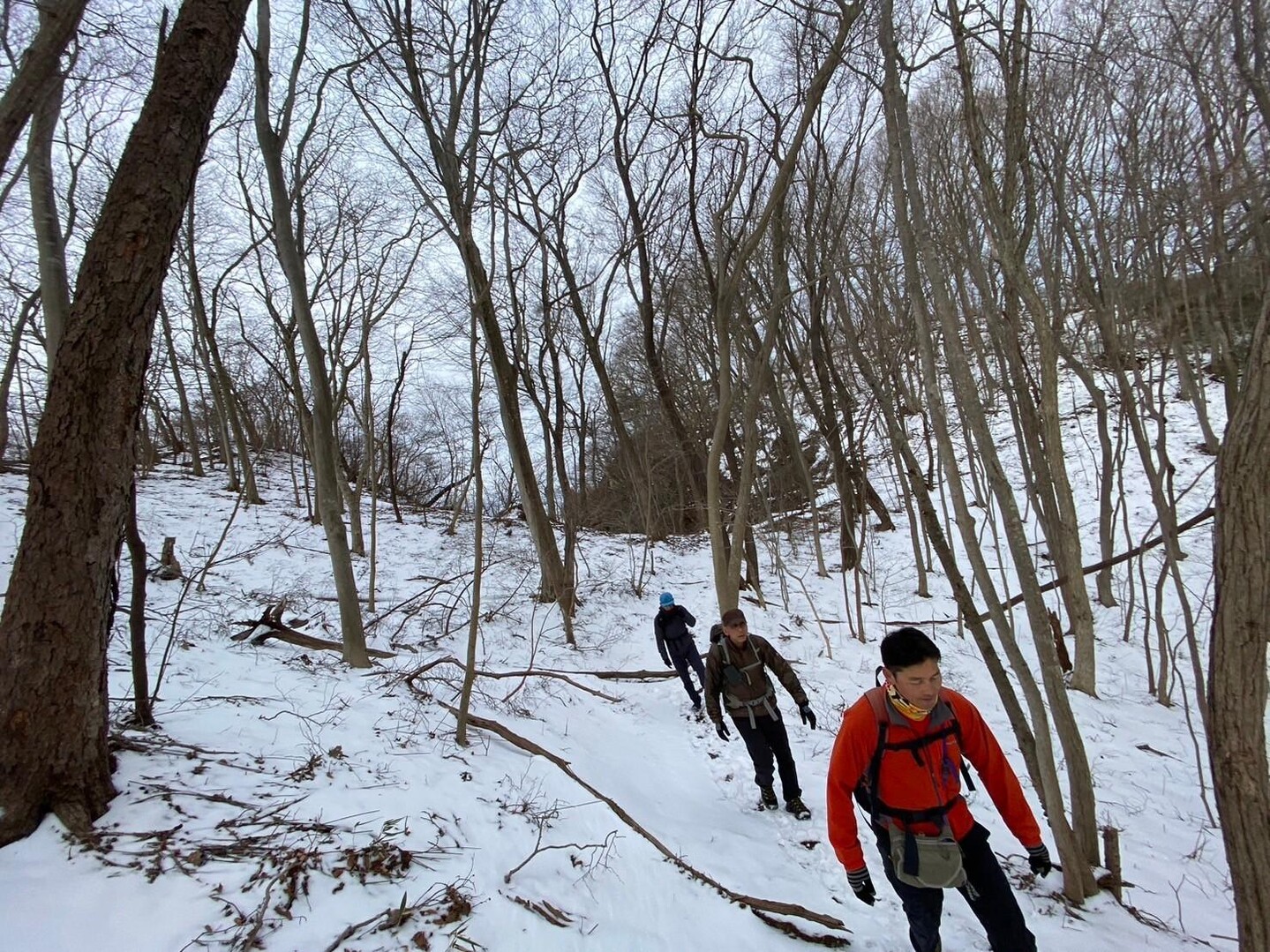 奥久慈男体山 / tom-maniさんの奥久慈男体山・月居山・篭岩（篭岩山）の活動データ | YAMAP / ヤマップ