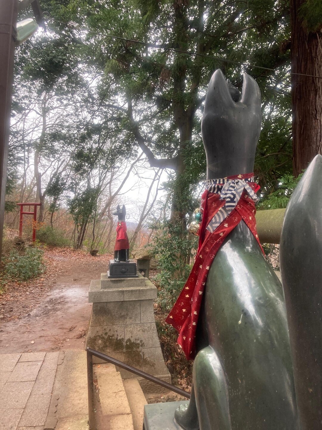 RUNる。 尻餅は駄目よ♪ 千歳山る。 / ととさんの千歳山・猿岡山・戸神山の活動データ | YAMAP / ヤマップ