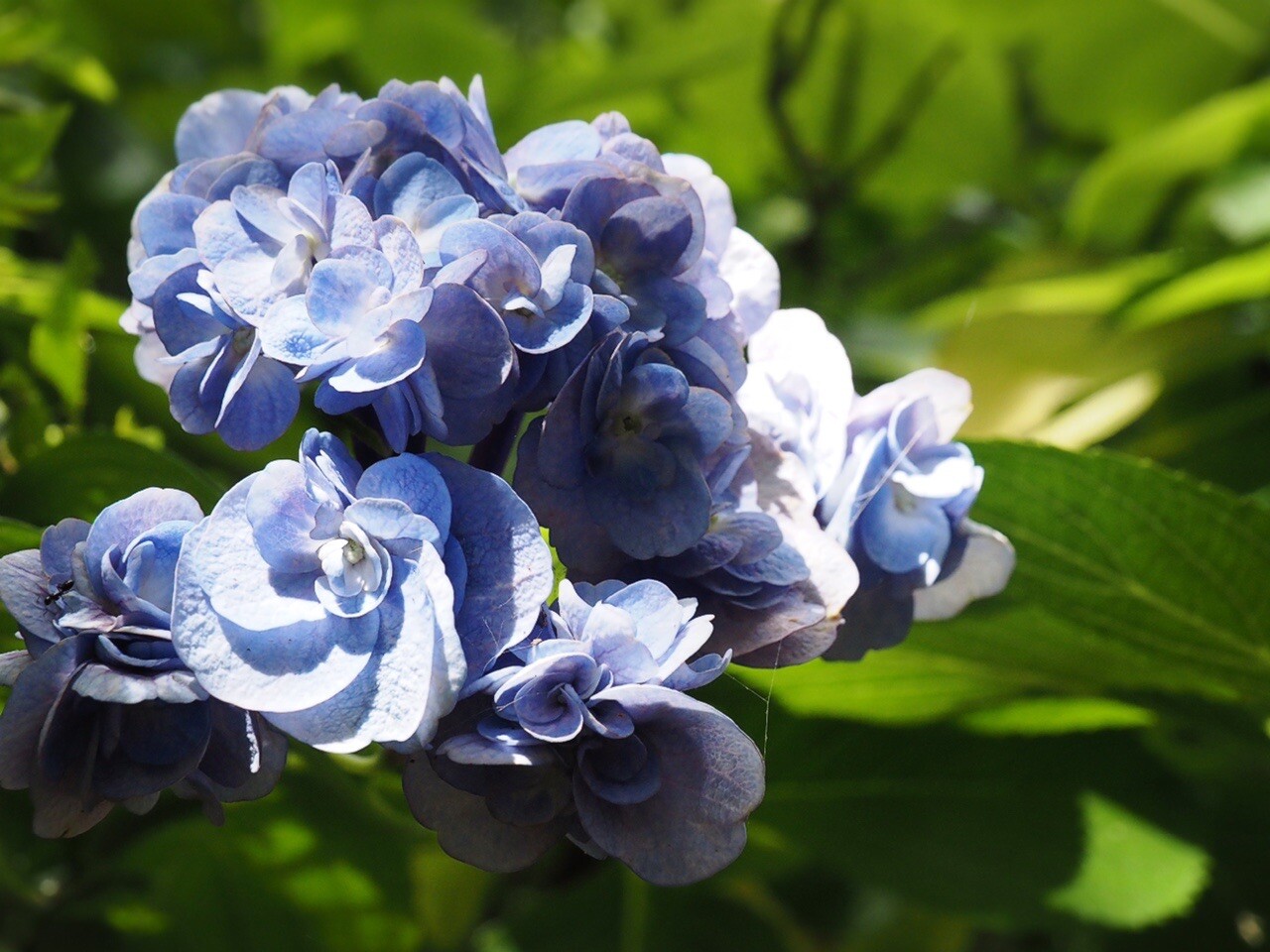 標高53m‼しかしここはお山です👍🏻海老山⛰ / chikacoさんの廿日市市の活動データ | YAMAP / ヤマップ