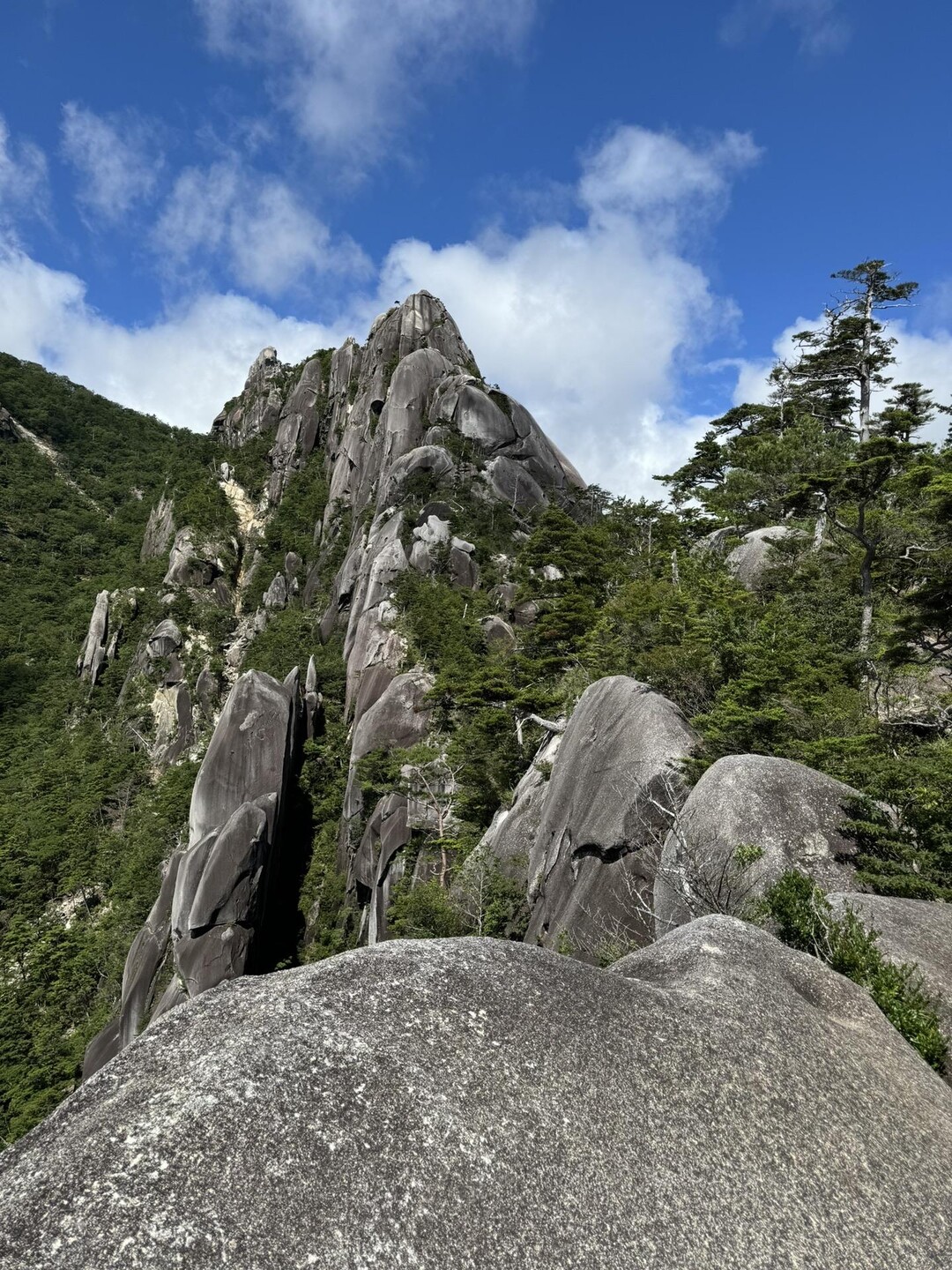大崩山 / Niroさんの大崩山・五葉岳・新百姓山の活動データ | YAMAP / ヤマップ
