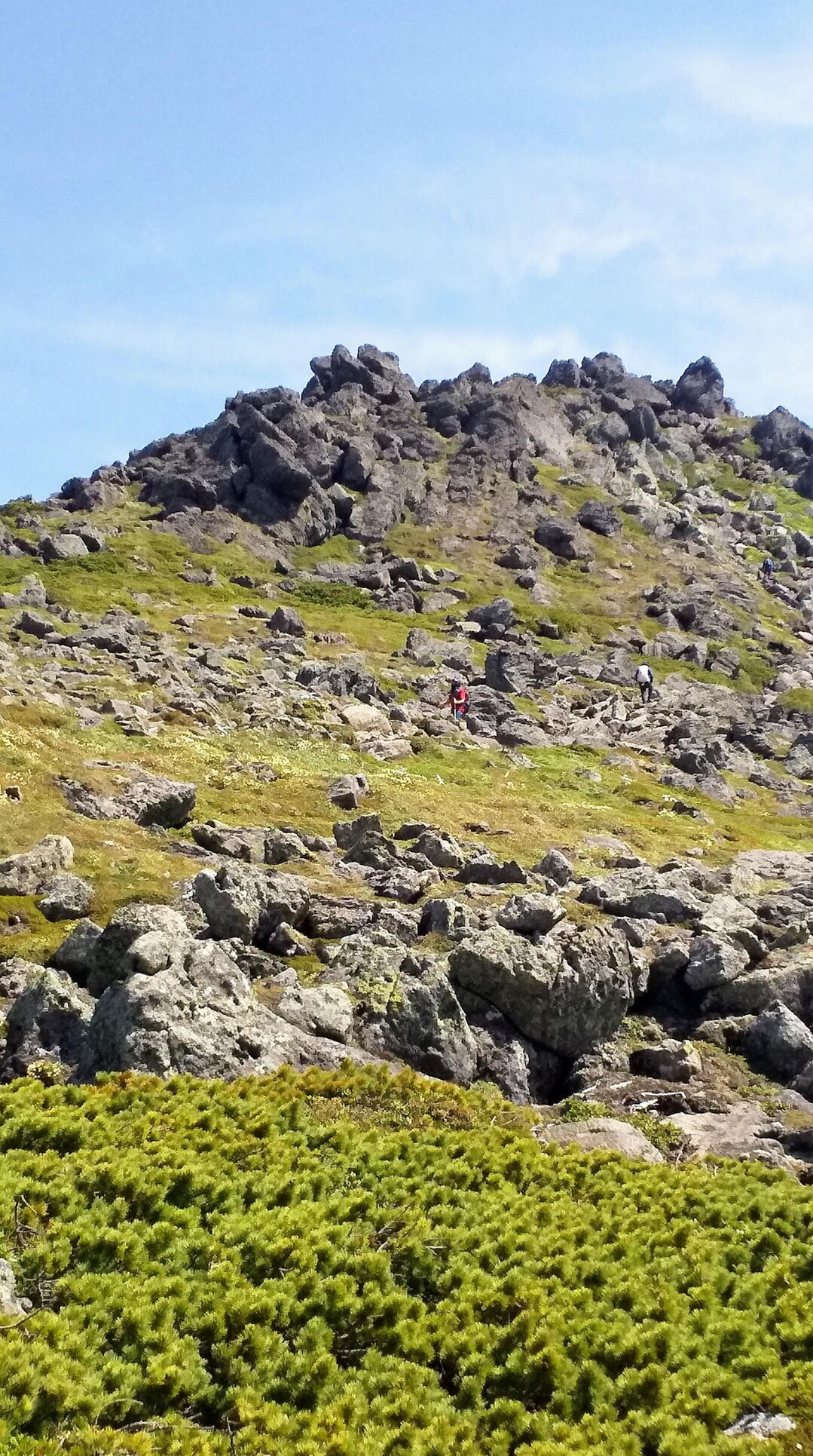 トムラウシ山(温泉登山口) / YamamidoさんのGT3 2の活動データ | YAMAP / ヤマップ