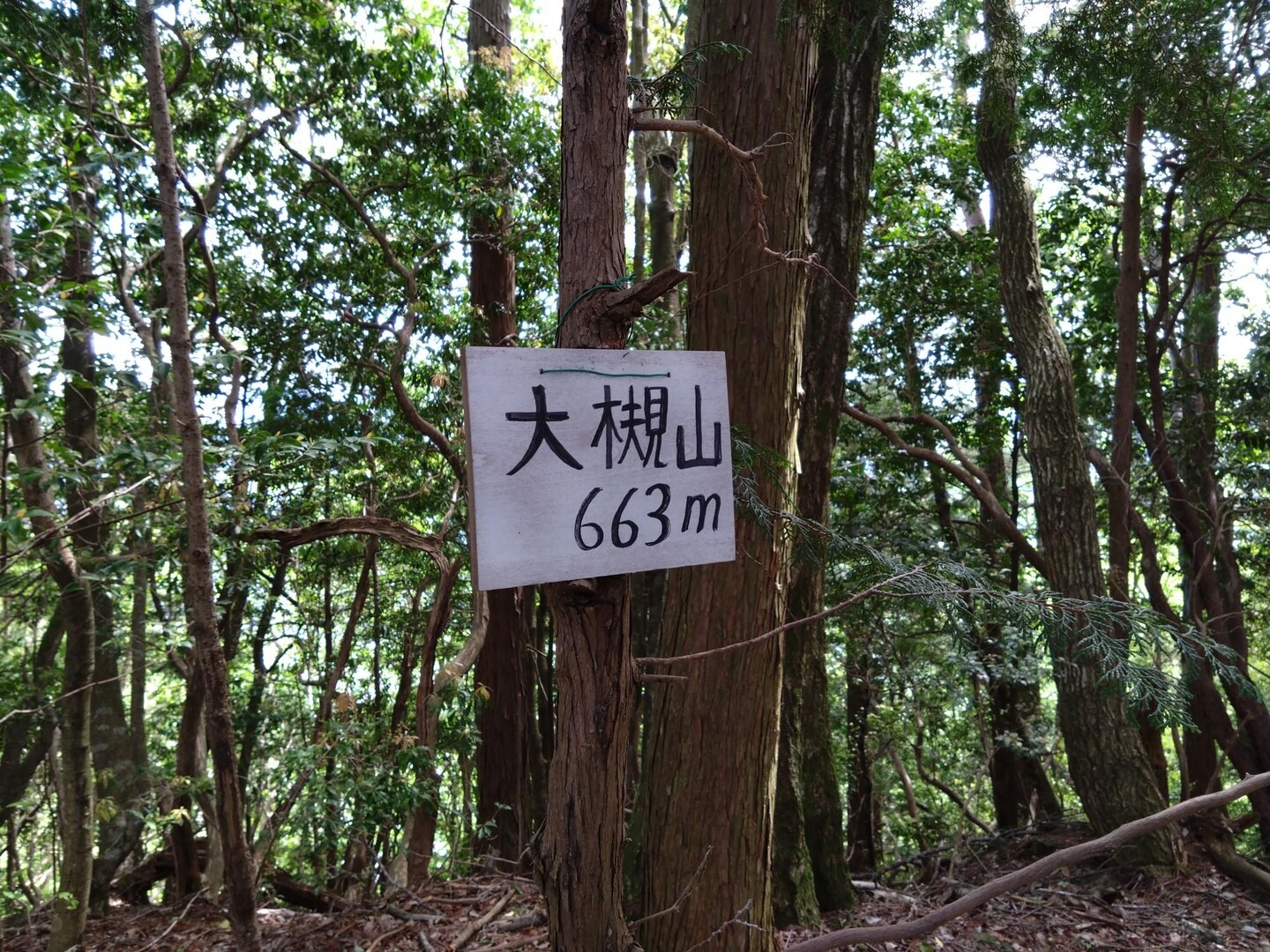 大槻山 JA/GF-250 / muuさんの室兼高屋の活動データ | YAMAP / ヤマップ