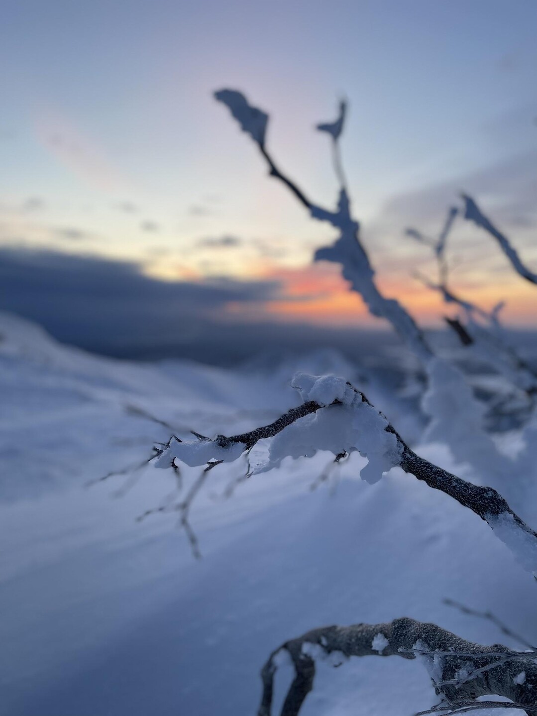 藻琴山 / showさんの藻琴山の活動データ | YAMAP / ヤマップ