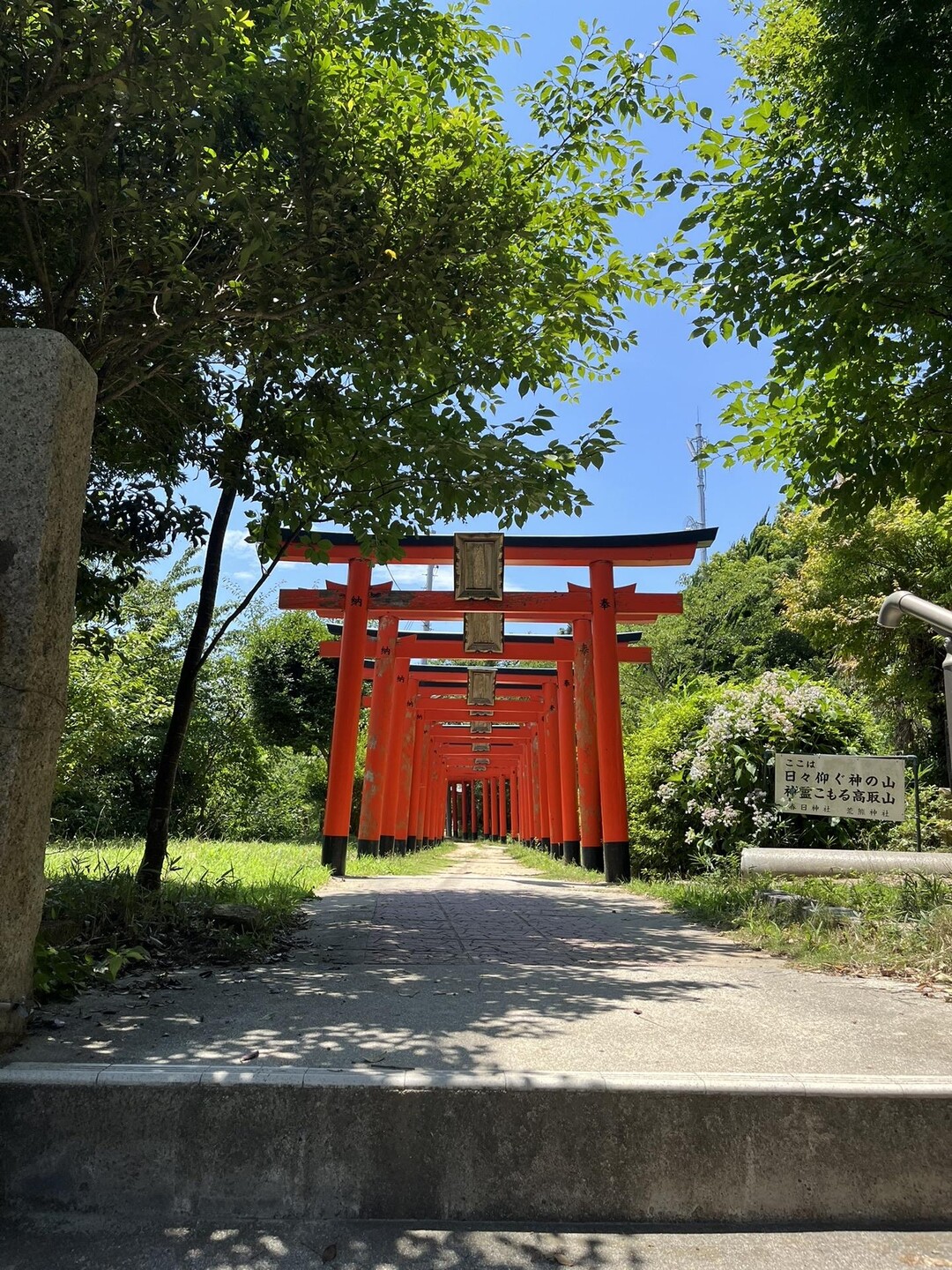 高取山西峰2024.7.6 / ikkoさんの六甲山・長峰山・摩耶山の活動データ | YAMAP / ヤマップ