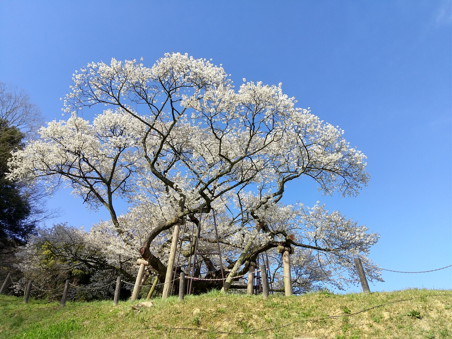 来月ちょっと大きなサイクリングイベントが... / mipotさんのモーメント | YAMAP / ヤマップ
