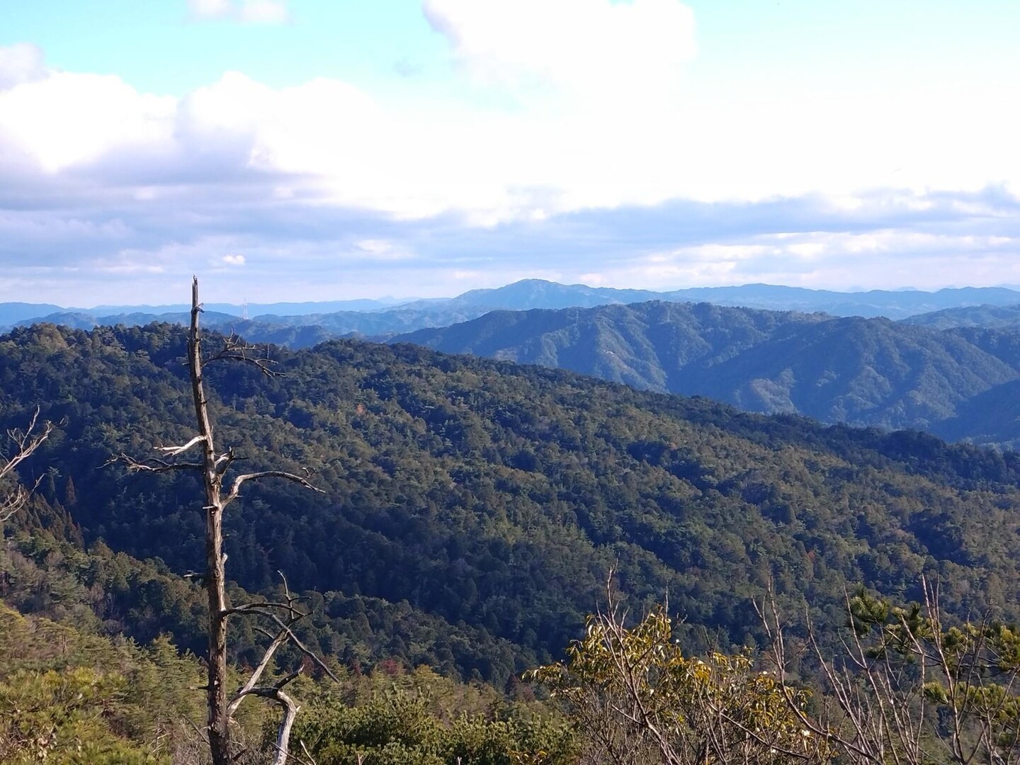 モノローグ R6.2.12 散... / らるげっとさんのモーメント | YAMAP / ヤマップ