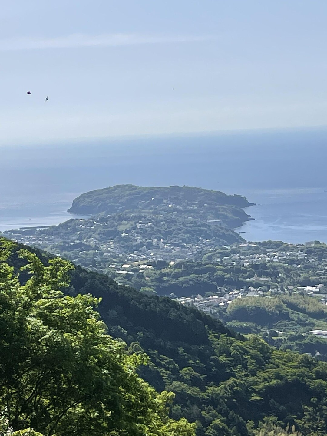 初めての幕山 / marronさんの幕山・南郷山の活動データ | YAMAP / ヤマップ