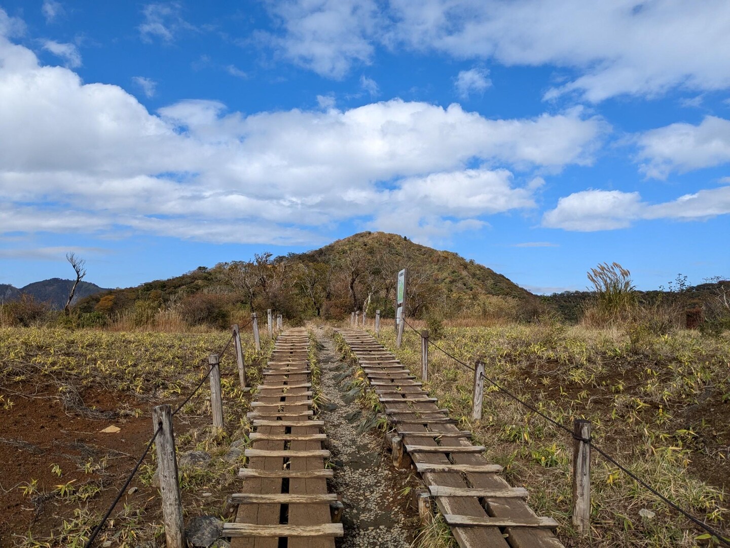 塔ノ岳 / emi.sanさんの塔ノ岳・丹沢山・蛭ヶ岳の活動データ | YAMAP / ヤマップ