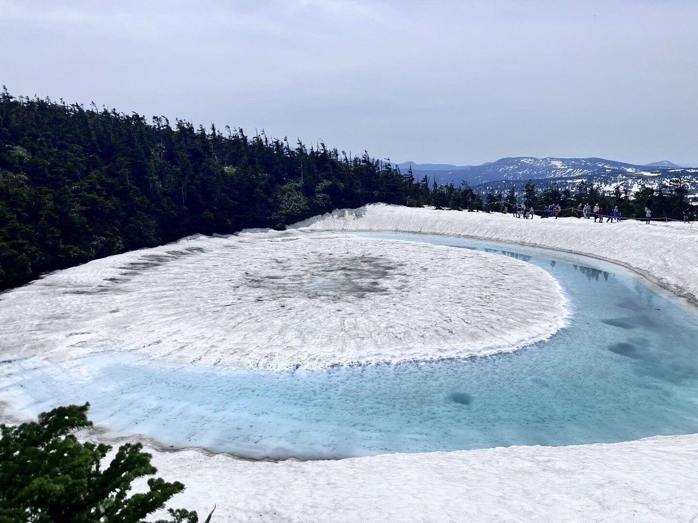 毎年恒例⁉️ドラゴンアイ詣🐉〜八幡平 / tatさんの八幡平・源太森・安比岳の活動データ | YAMAP / ヤマップ