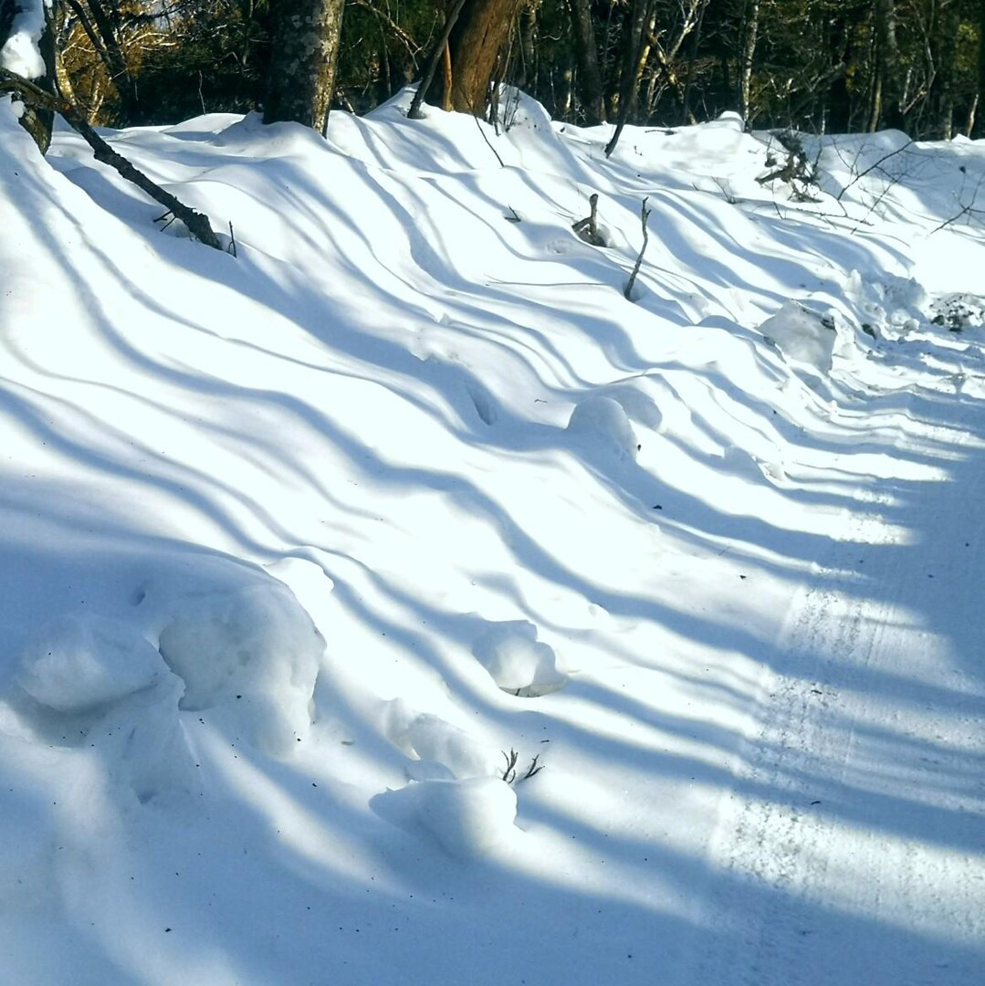 肌のケアが必要だった塔丸 / ta.hayaさんの剣山の活動データ | YAMAP / ヤマップ