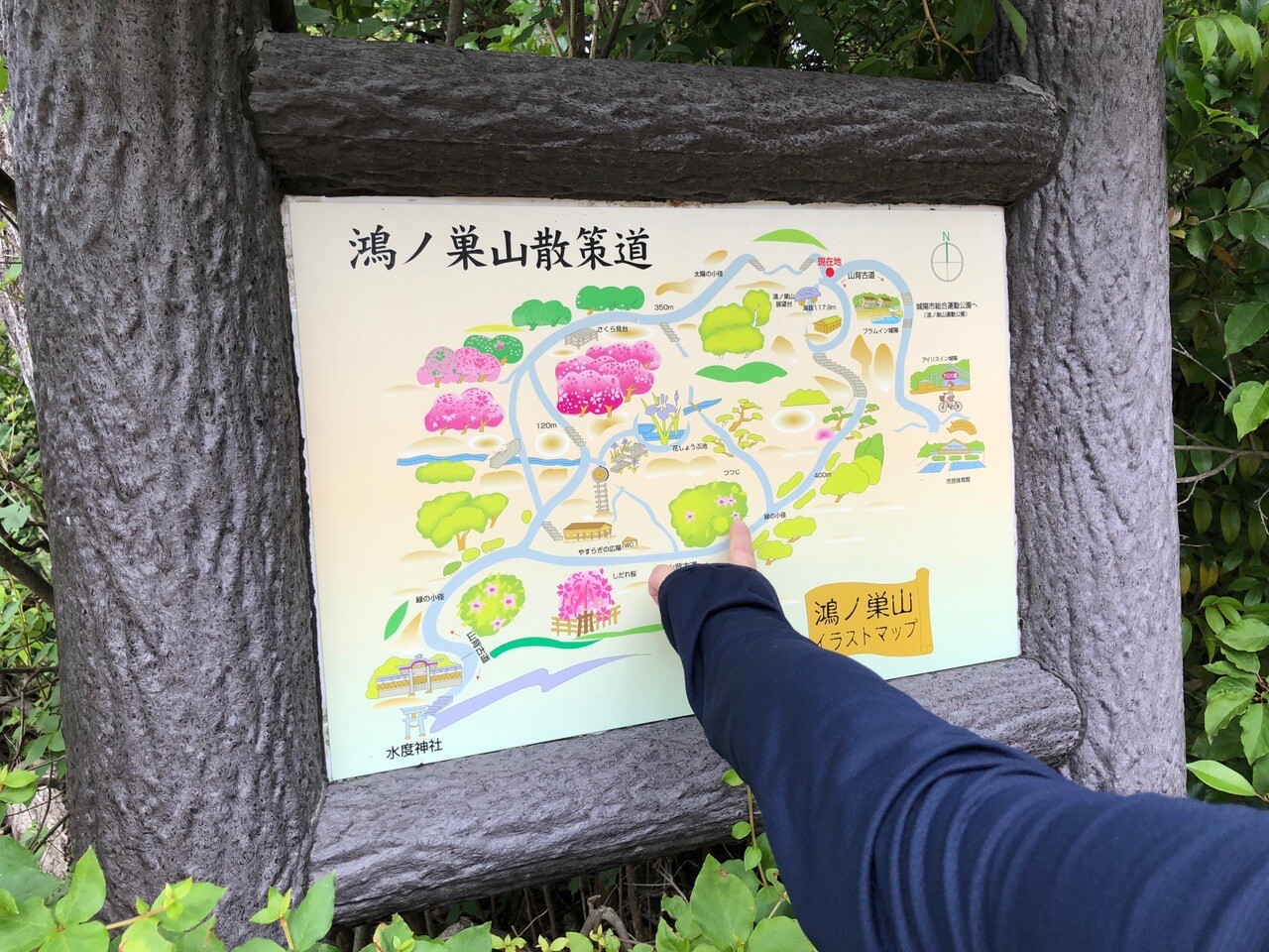 ウォーキング-2021-06-02 / YUMさんのウォーキングの活動データ | YAMAP / ヤマップ