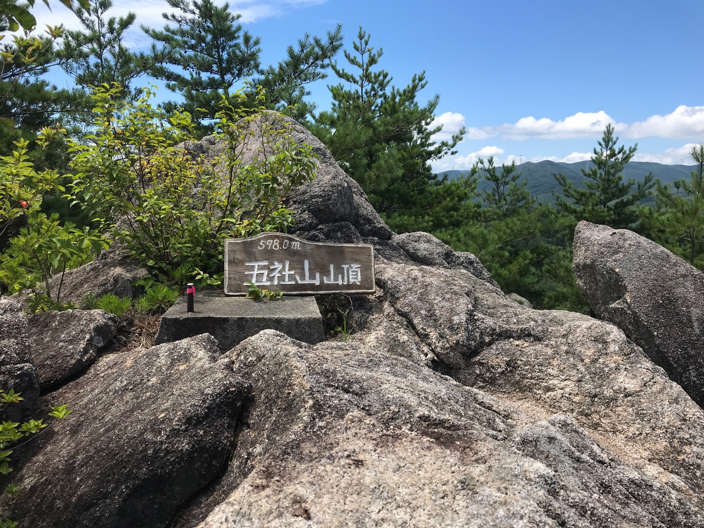 福島 五社山（川内）(ごしゃやま・かわうち）2021-7-31 / monamonaさんの大滝根山の活動データ | YAMAP / ヤマップ